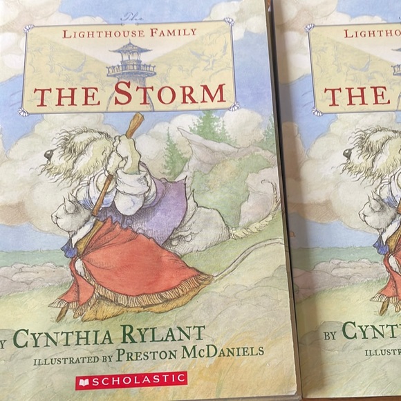 Other | The Storm By Cynthia Rylant Class Set Of 21 | Poshmark